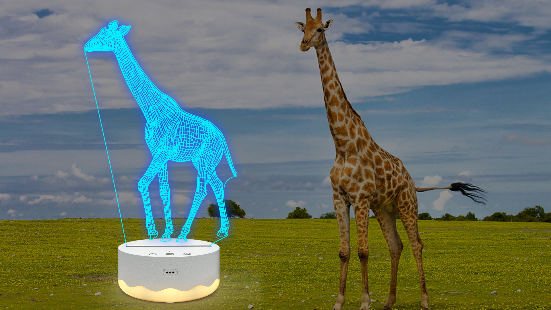 Giraffe Picture Wallpaper Lighting Giraffe Silhouette Stock Photos,