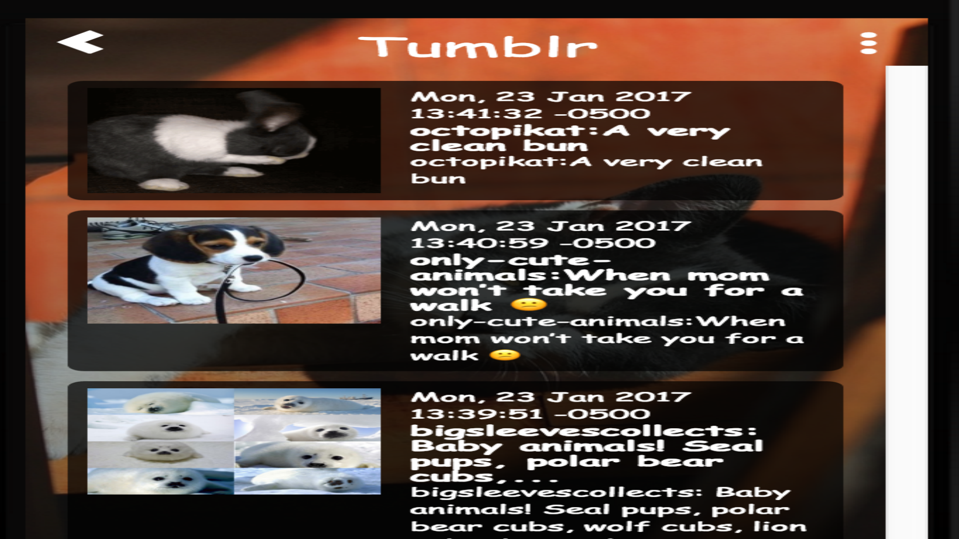 Cuddle Buddy Pets - App on Amazon Appstore