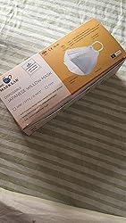 The Mask Lab High Filtration FFP2 Certified and N95* Japanese Willow ...