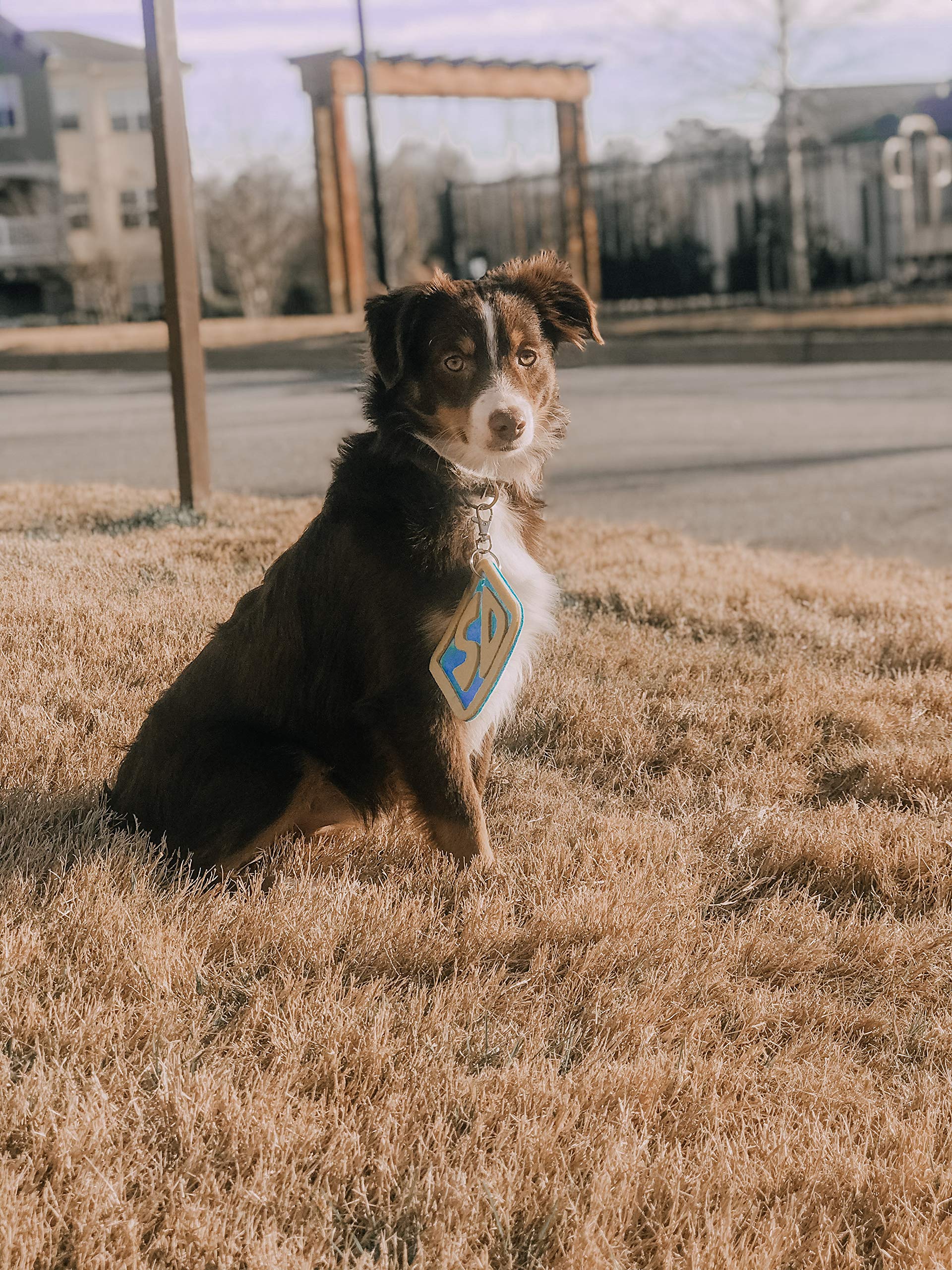 Snapklik.com : ComfyCamper SD Dog Halloween Costume Collar Tag For ...