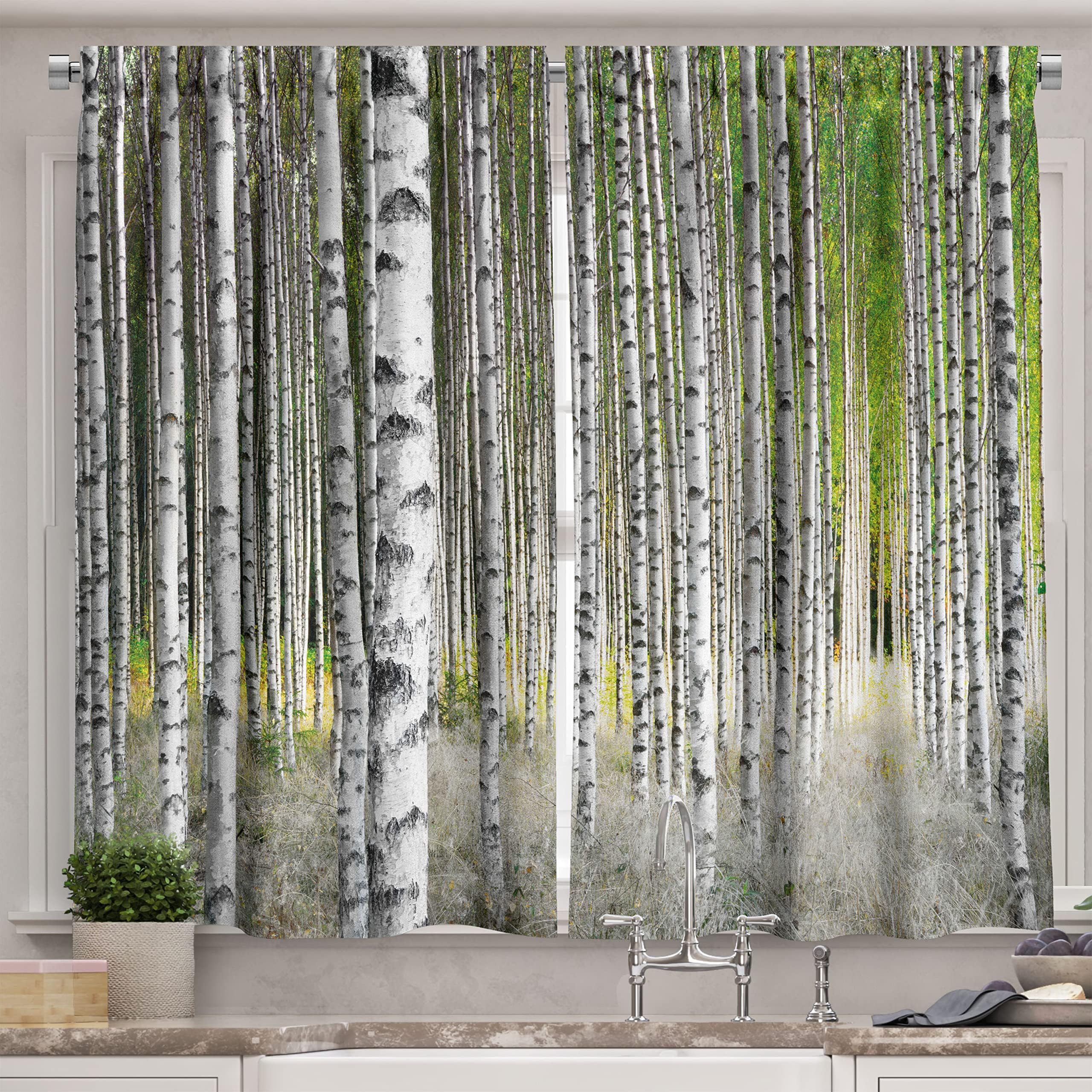 Amazon.com: XZMAN Birch Tree Shower Curtain White and Black Birch Trunk ...