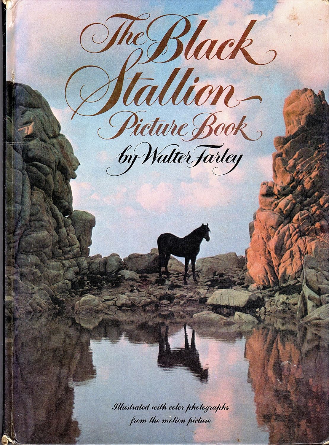 The Black Stallion Picture Book (Illustrated with Color Photographs ...