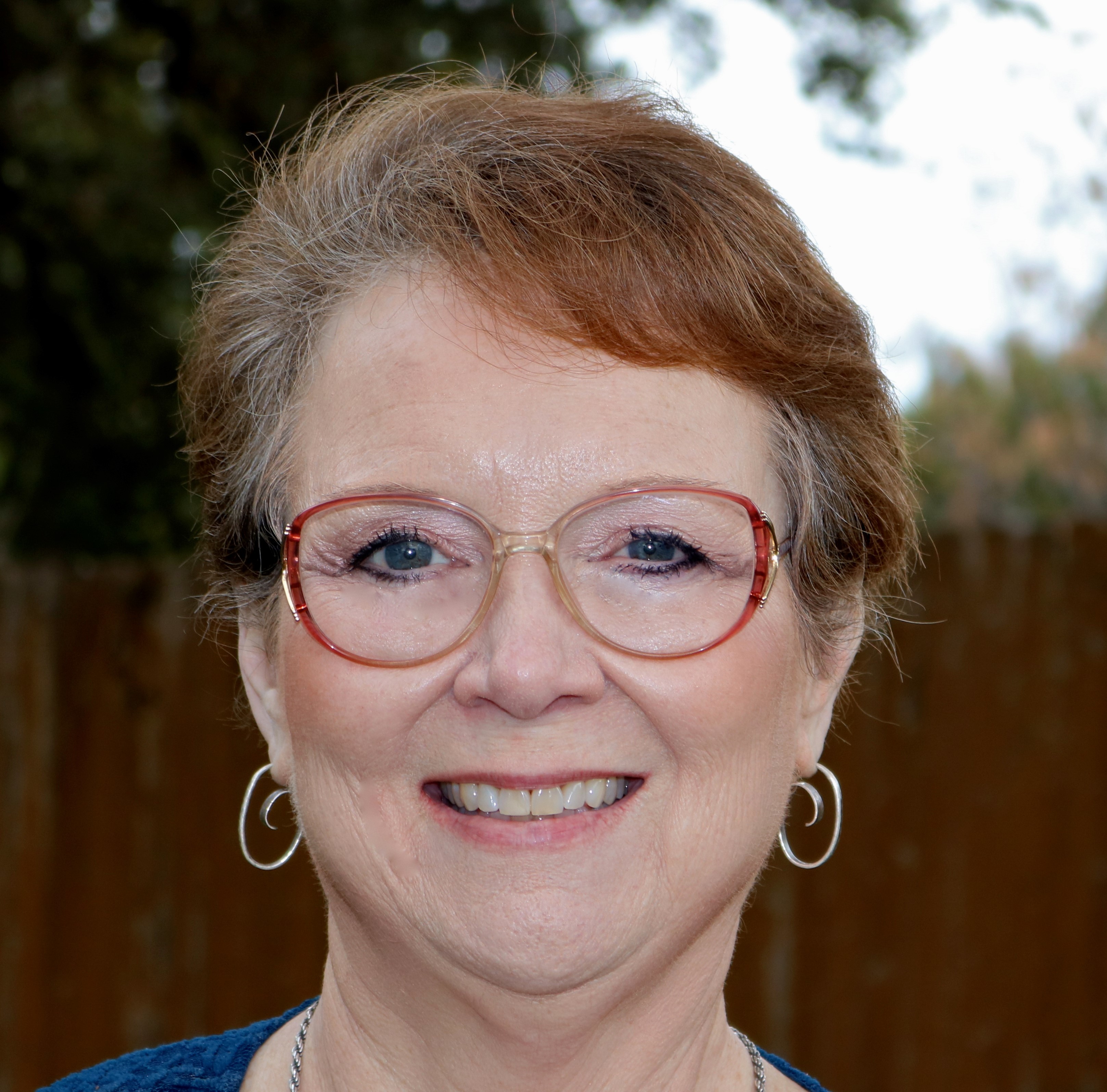 Amazon.com: Lee Ann Crockett: books, biography, latest update