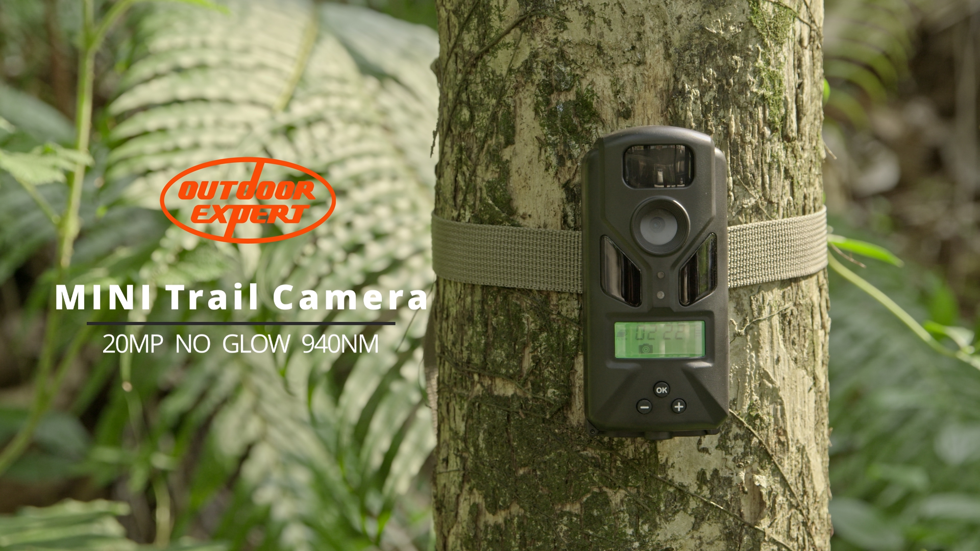 Watch MINI Hunting Trail Camera Outdoor Expert 20MP Game Camera on ...