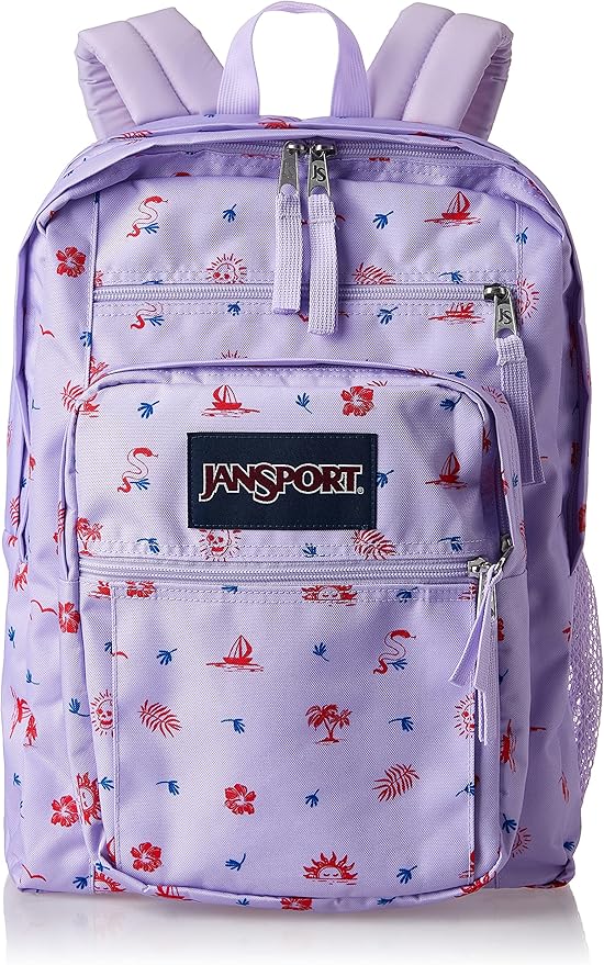 Amazon.com: JanSport Laptop Backpack - Computer Bag with 2 Compartments ...