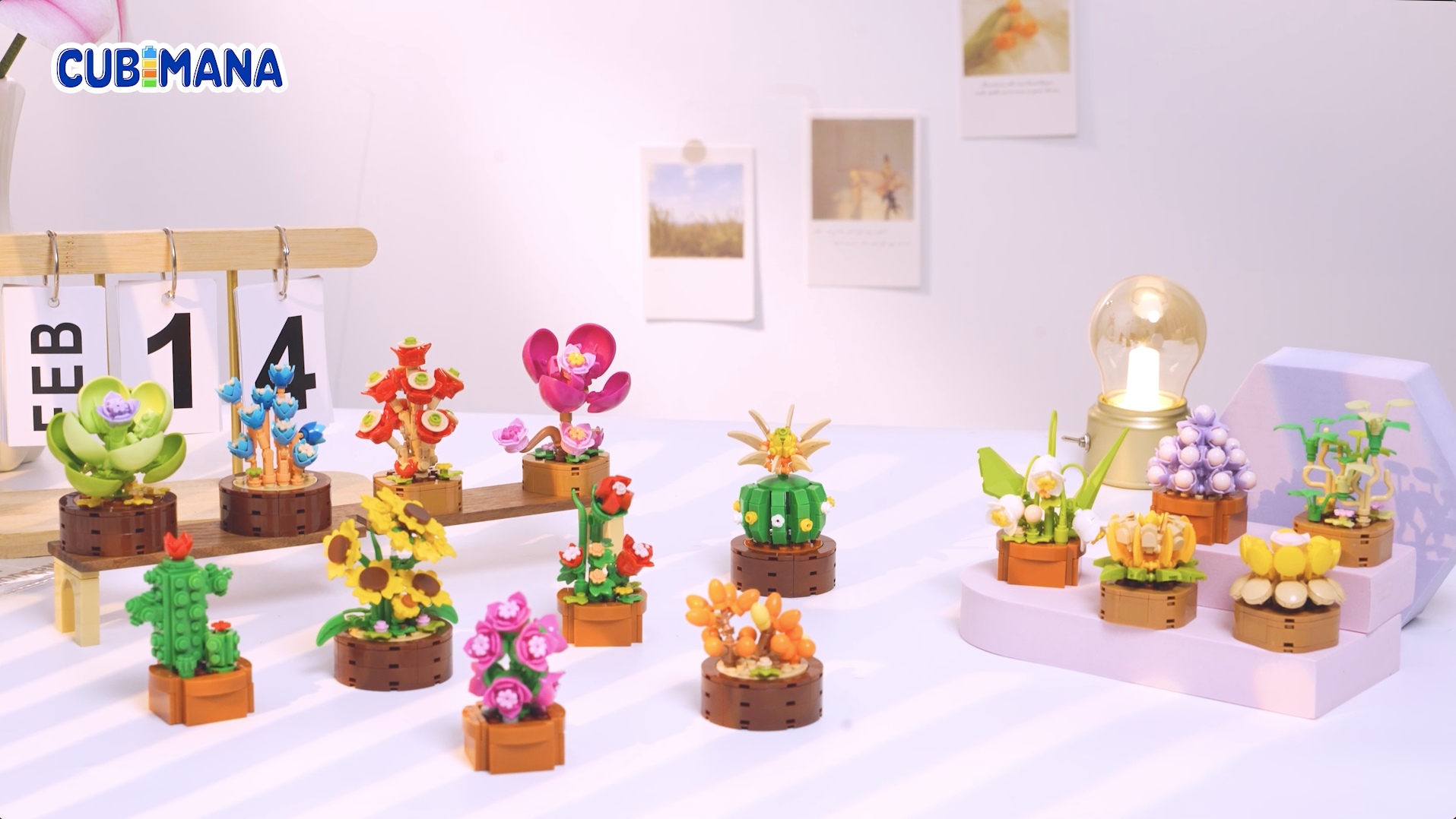 Watch 15 Pack Flowers Plants 3.6MM Mini Building Sets on Amazon Live