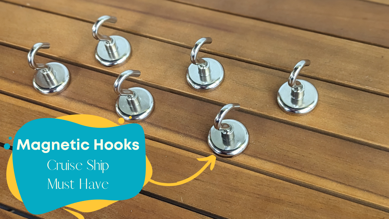 Watch Video from our cruise ship! Don't travel without these hooks. on ...