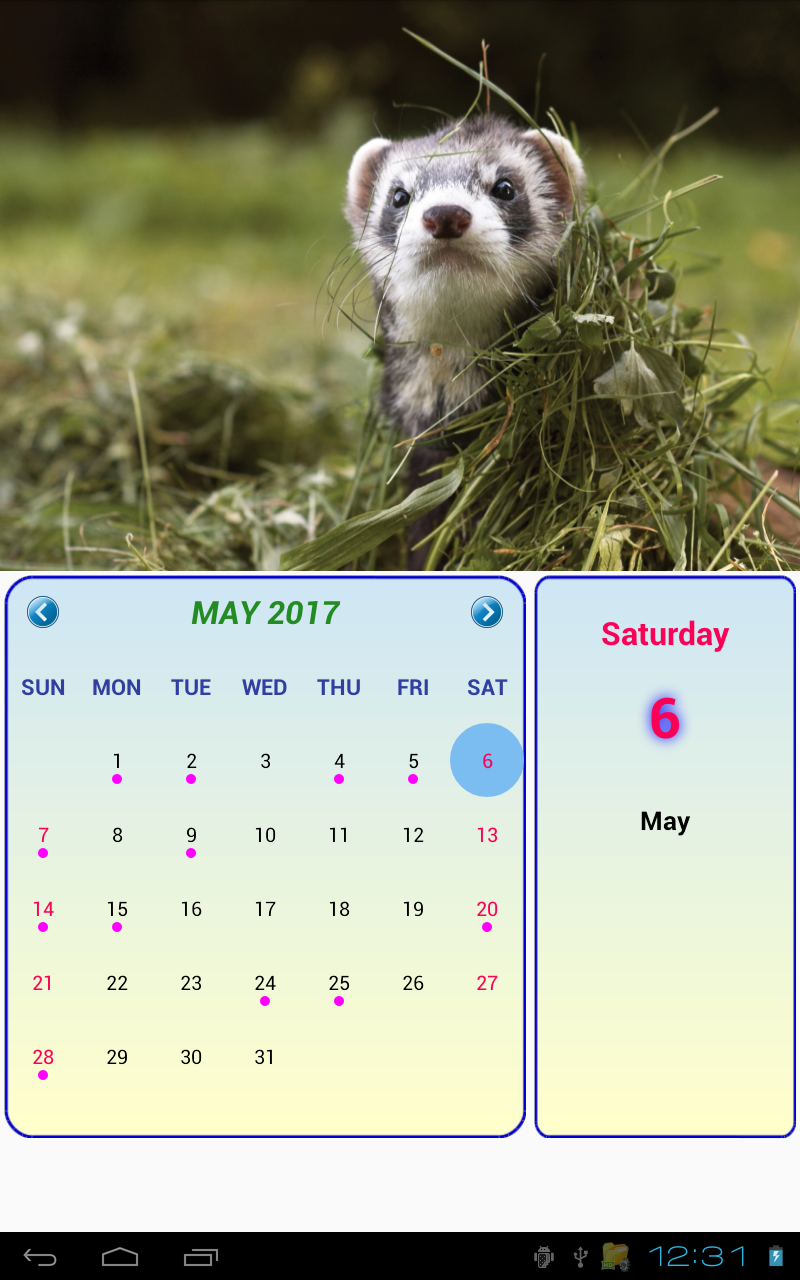 Calendar My Ferret - App on Amazon Appstore