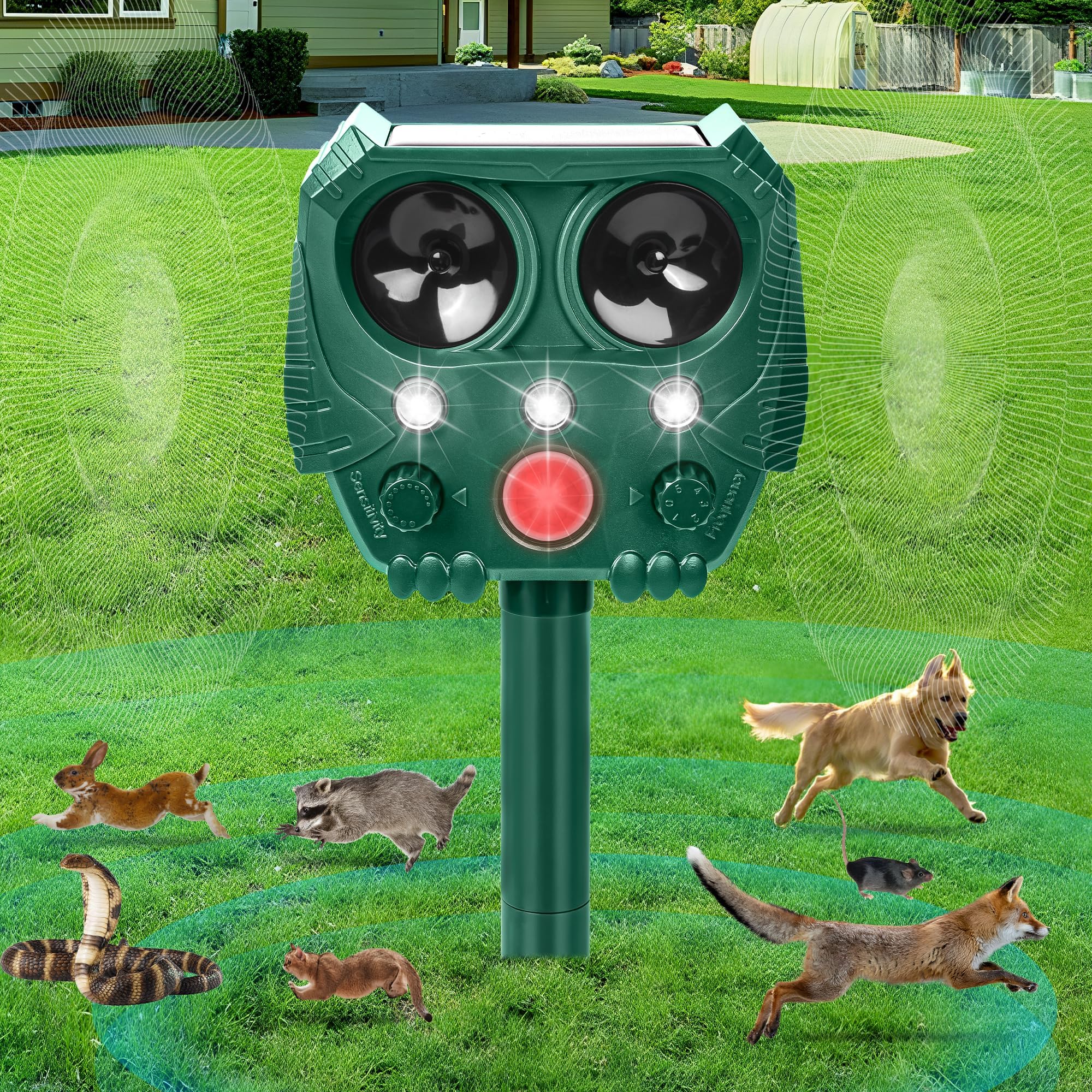 Amazon.com: 2024 Upgraded Solar Ultrasonic Animal Repellent Outdoor Cat ...