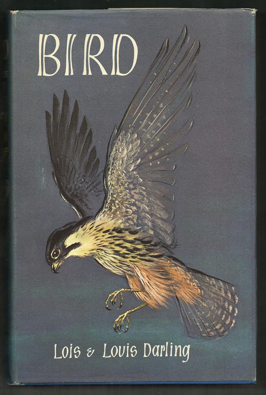 Bird: Amazon.co.uk: Darling, Lois & Louis.: Books