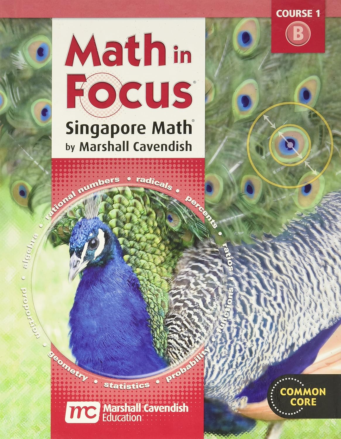 Student Edition 2012: Volume B (Math in Focus: Singapore Math ...