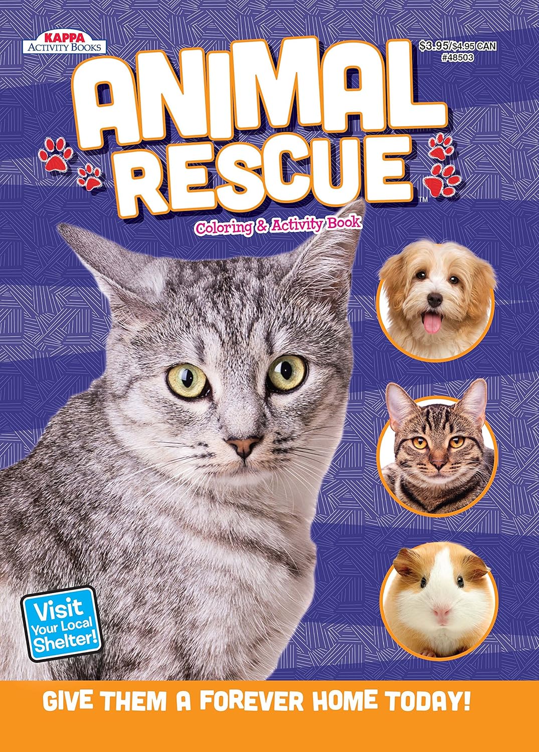 Animal Rescue Coloring & Activity Book - Gray Kitty: Kappa Books ...