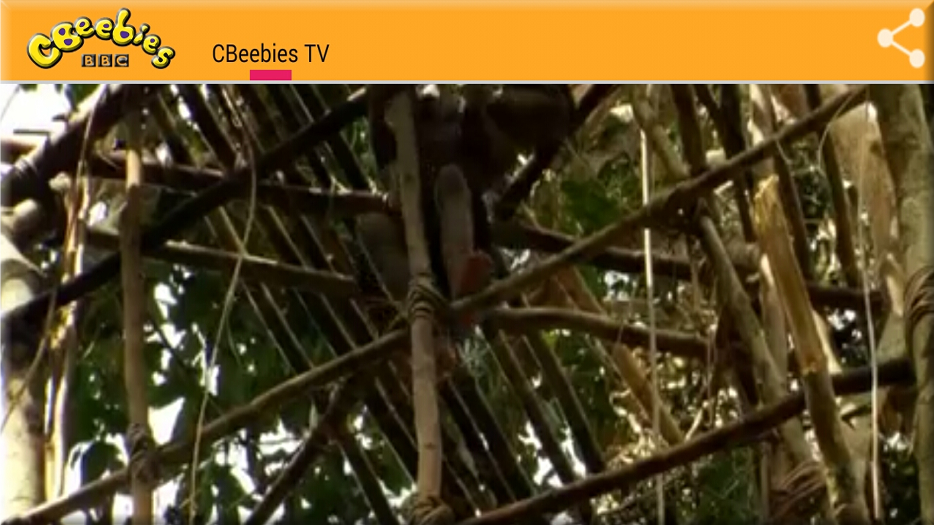 CBeebies TV - App on the Amazon Appstore