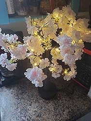 Amazon.com: Hairui Lighted Small Olive Tree Battery Operated or USB ...