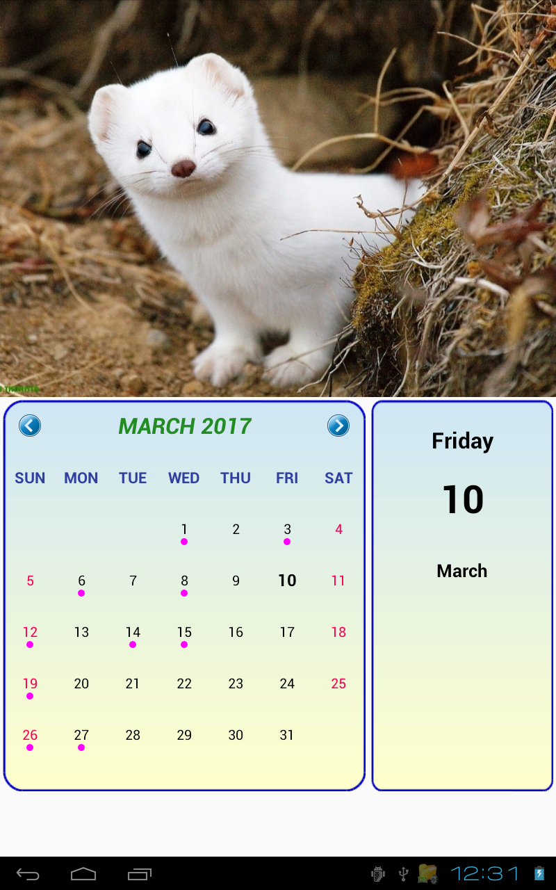 Calendar My Ferret - App on Amazon Appstore
