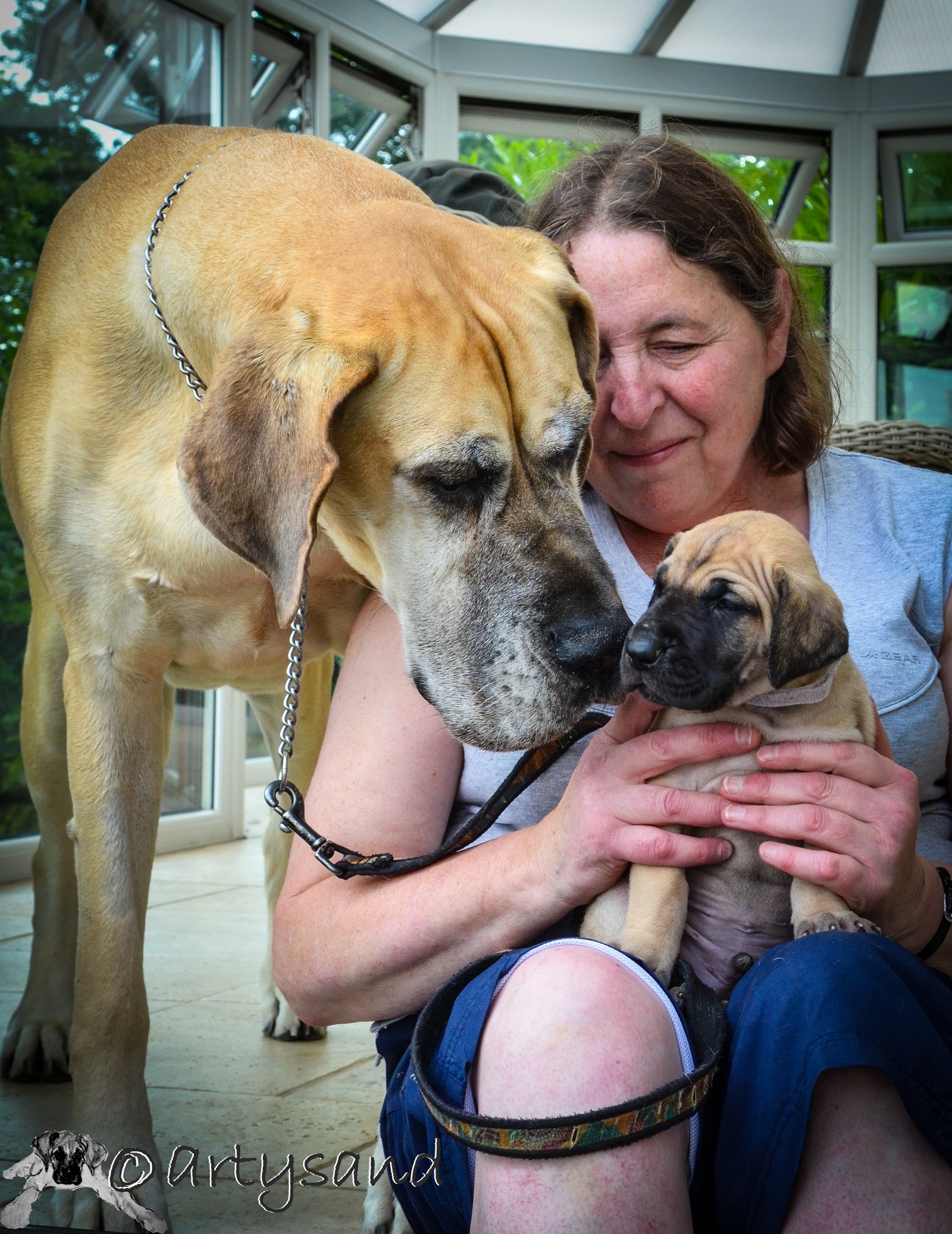 Amazon.co.uk: Helen Seddon: books, biography, latest update