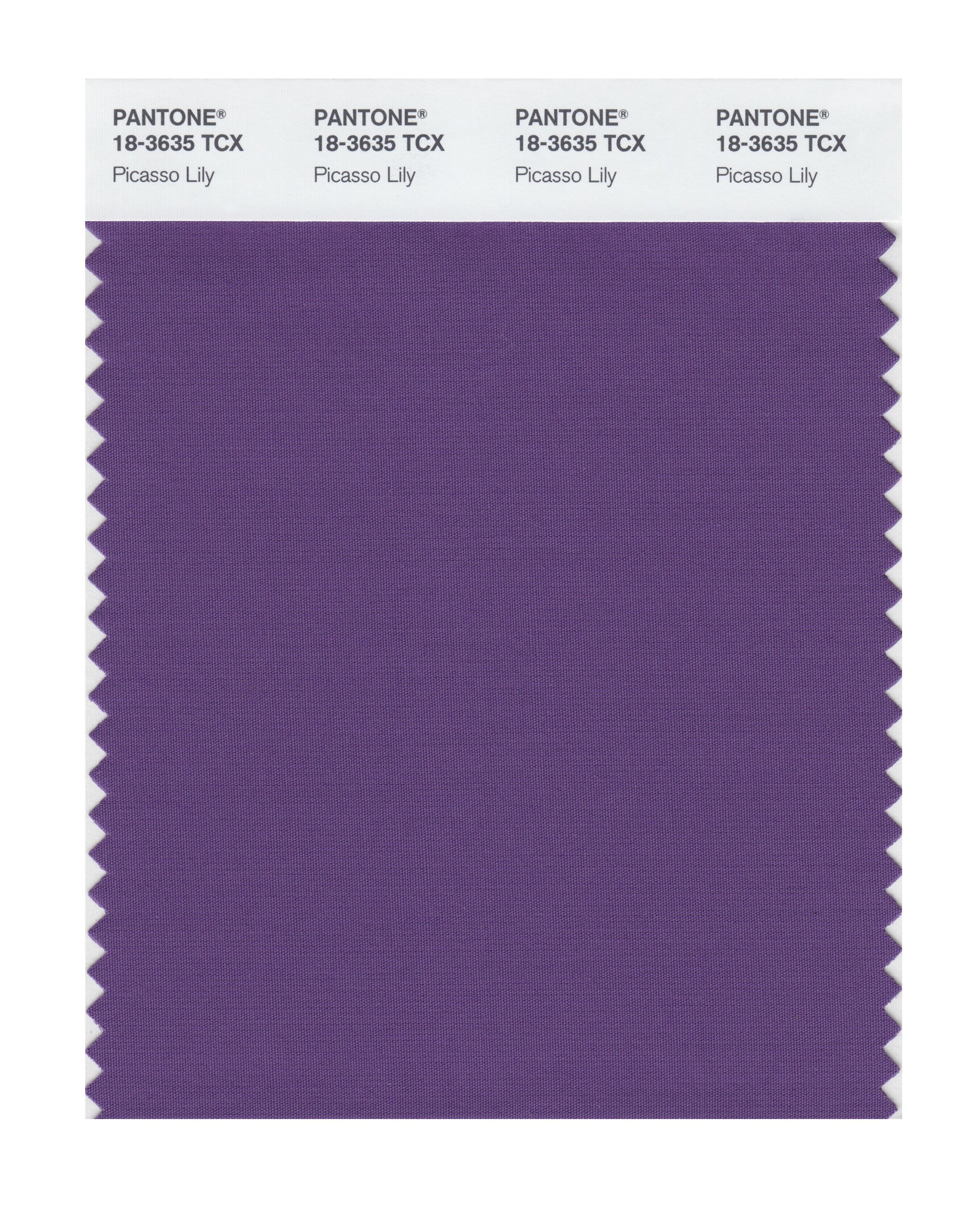 Buy Pantone 18-3635 TCX Smart Color Swatch Card, Picasso Lily Online at ...