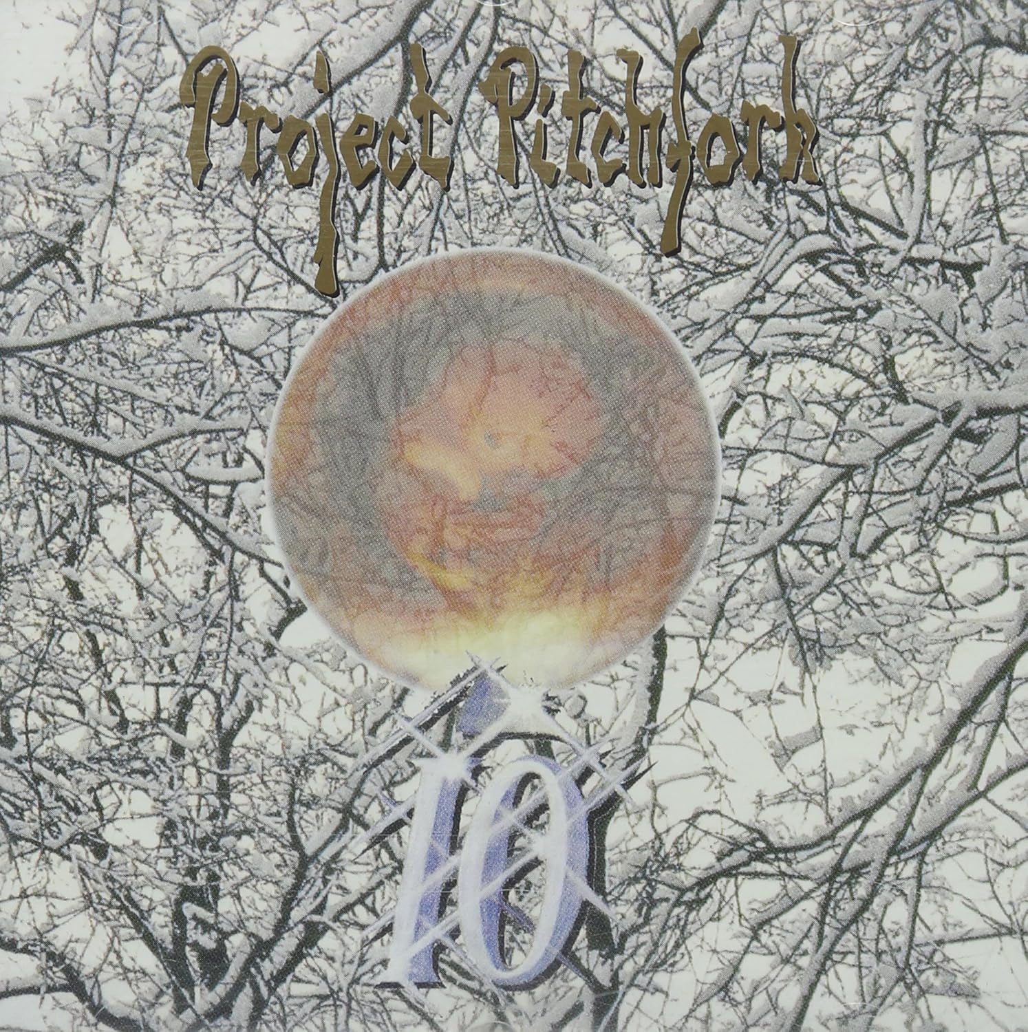 Buy Project Pitchfork Online at Low Prices in India | Amazon Music ...