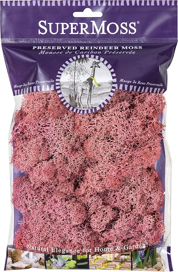 Amazon.com: SuperMoss 25126 Reindeer Mosss Preserved, 80.75 Cubic inch ...