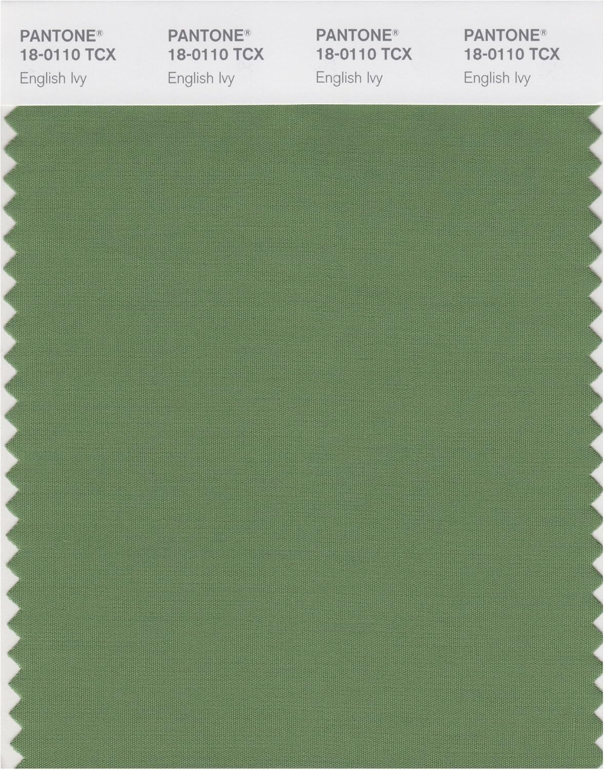 PANTONE Smart 18-0110X Color Swatch Card, English Ivy - House Paint ...