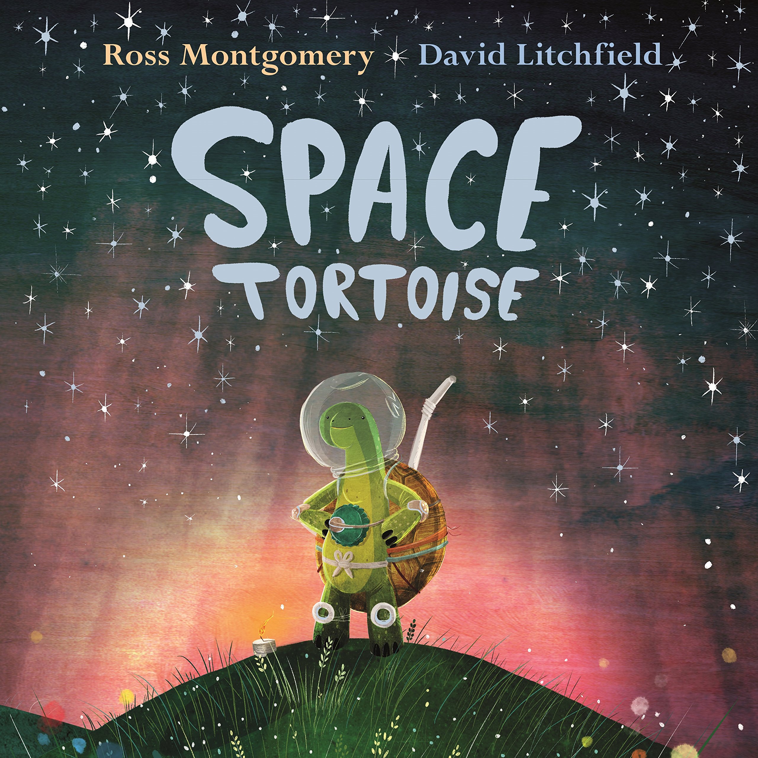 Space Tortoise : Montgomery, Ross, Litchfield, David: Amazon.co.uk: Books