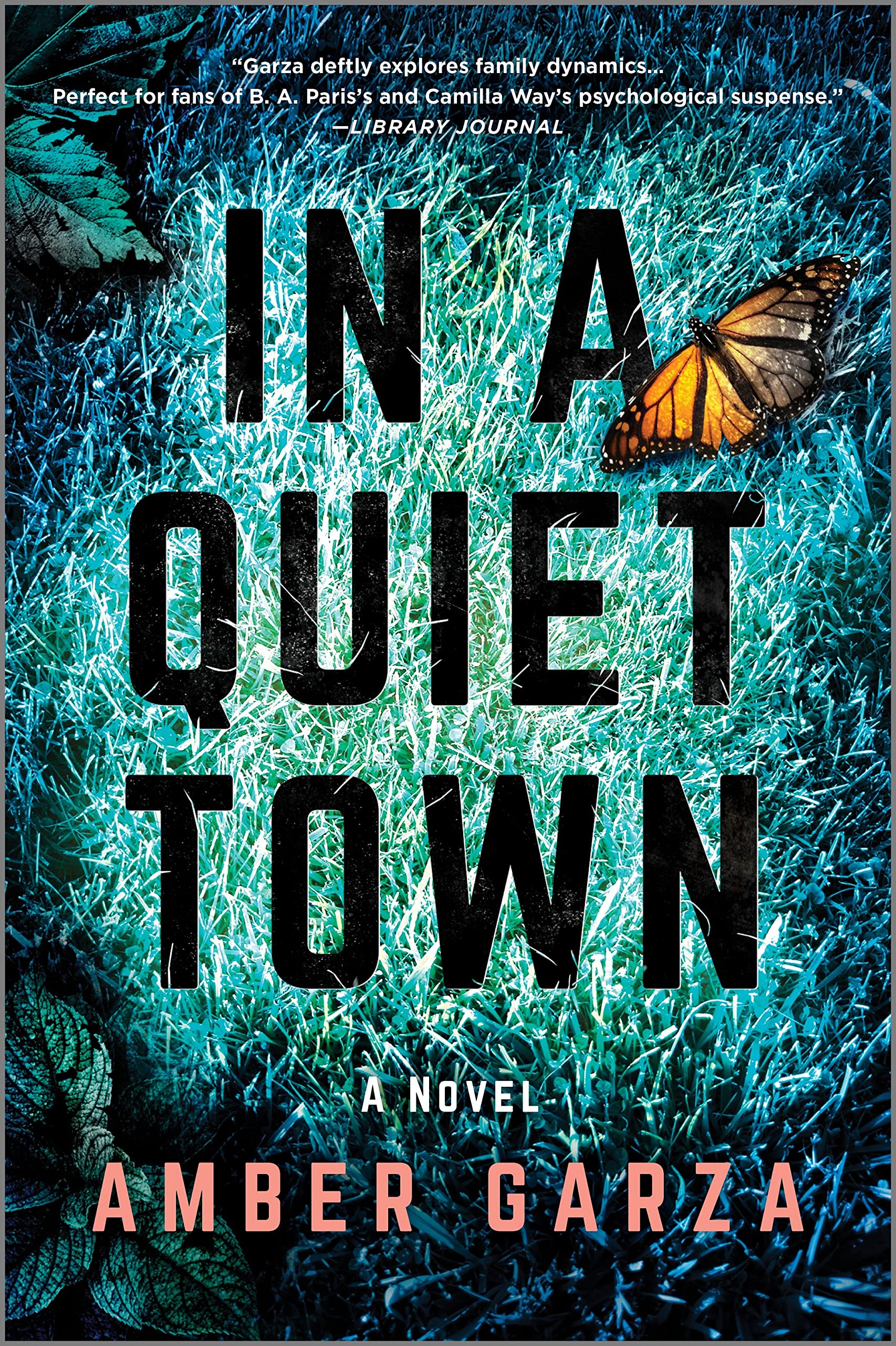 Amazon.com: In a Quiet Town: A Novel: 9780778334255: Garza, Amber: Books