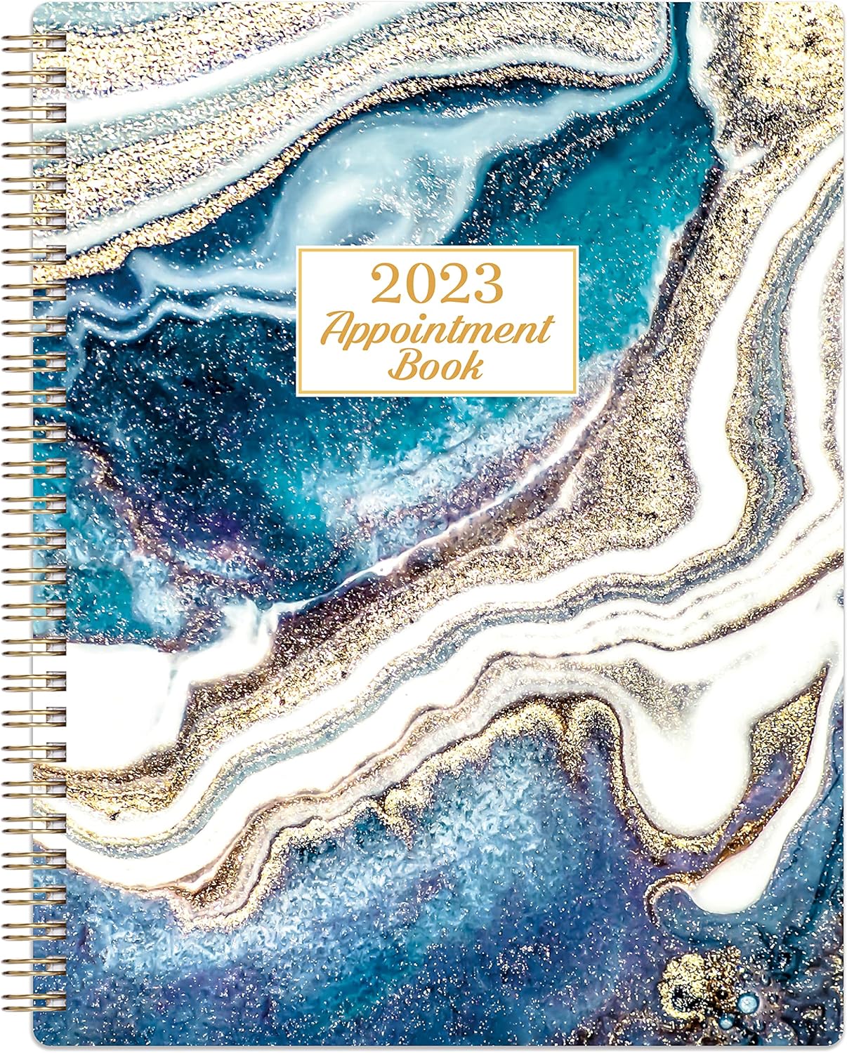 Amazon.com : 2023 Appointment Book - Daily Planner 2023, 8'' x 10 ...