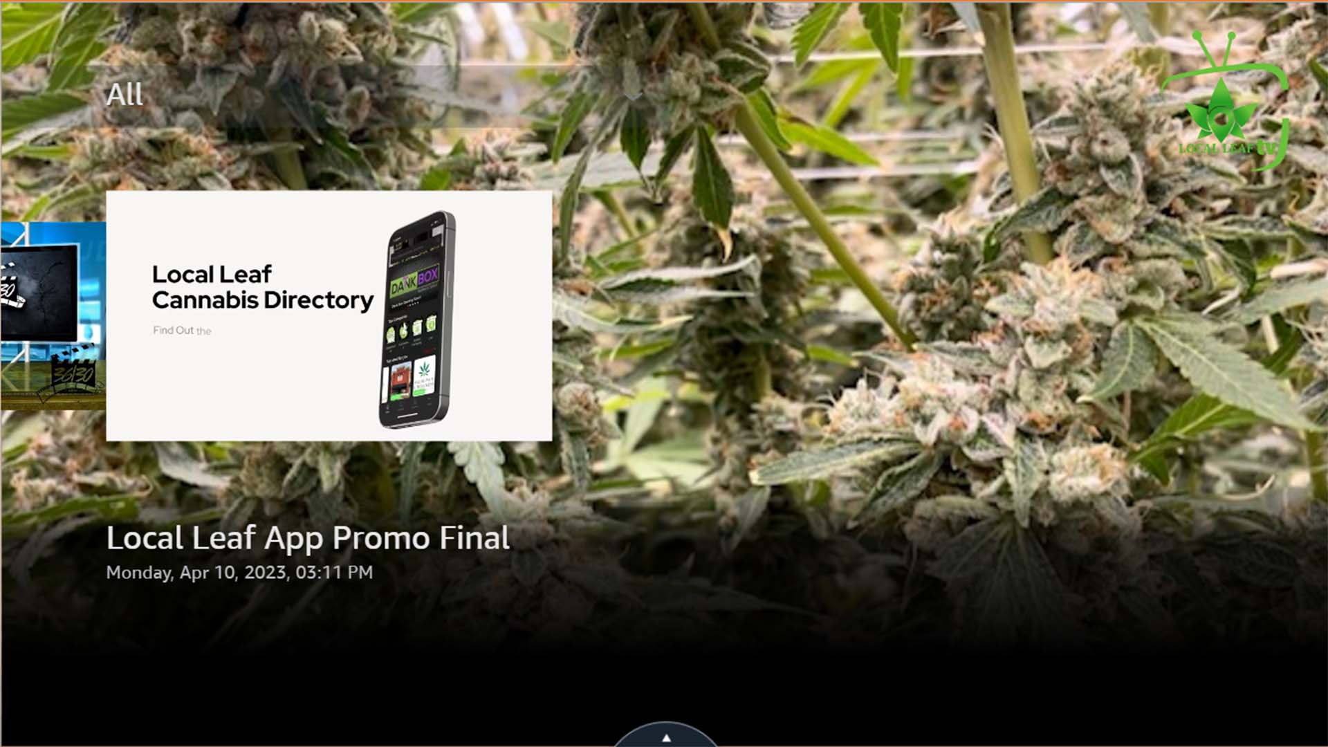 Local Leaf TV - App on Amazon Appstore