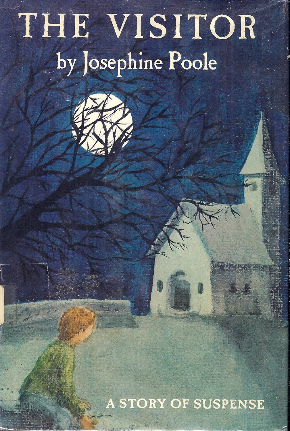 The Visitor: A Story of Suspense: 9780060247683: Books - Amazon.ca