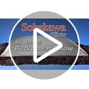 Amazon.com: Sobakawa Traditional Buckwheat Pillow Organic Cotton with ...