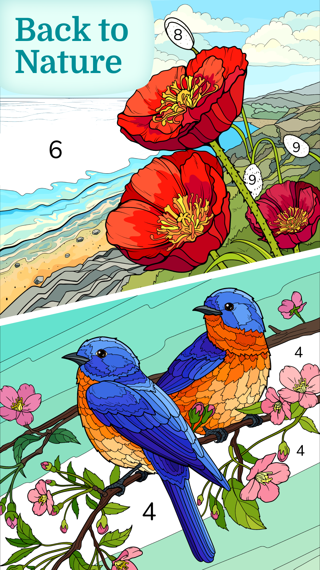 Zen Color - Color By Number:Amazon.com:Appstore for Android