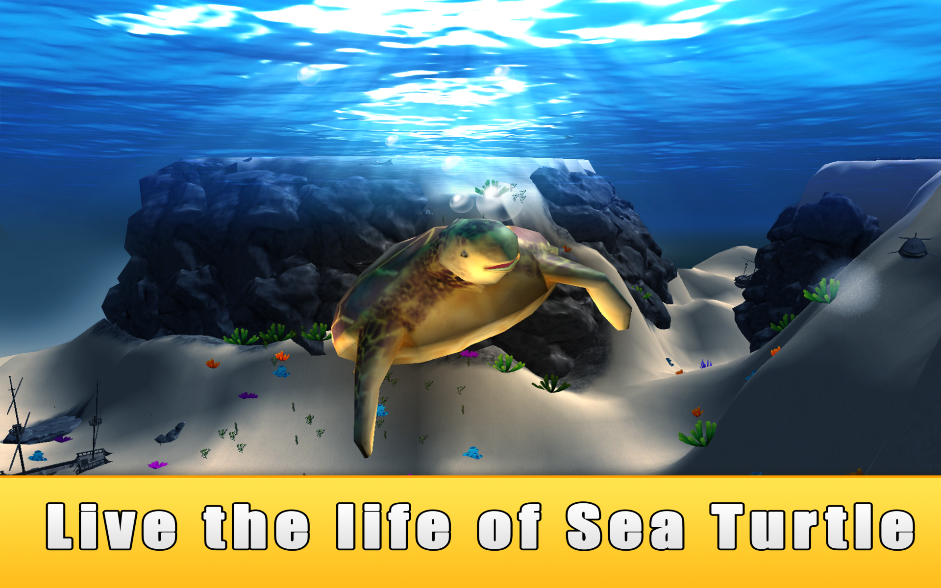 Sea Turtle Simulator 3D - App on Amazon Appstore