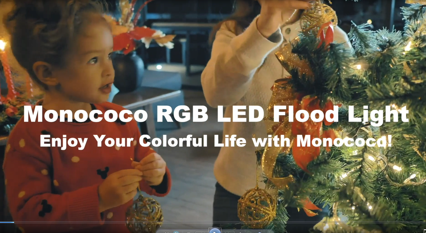 Christmas Flood Light Display