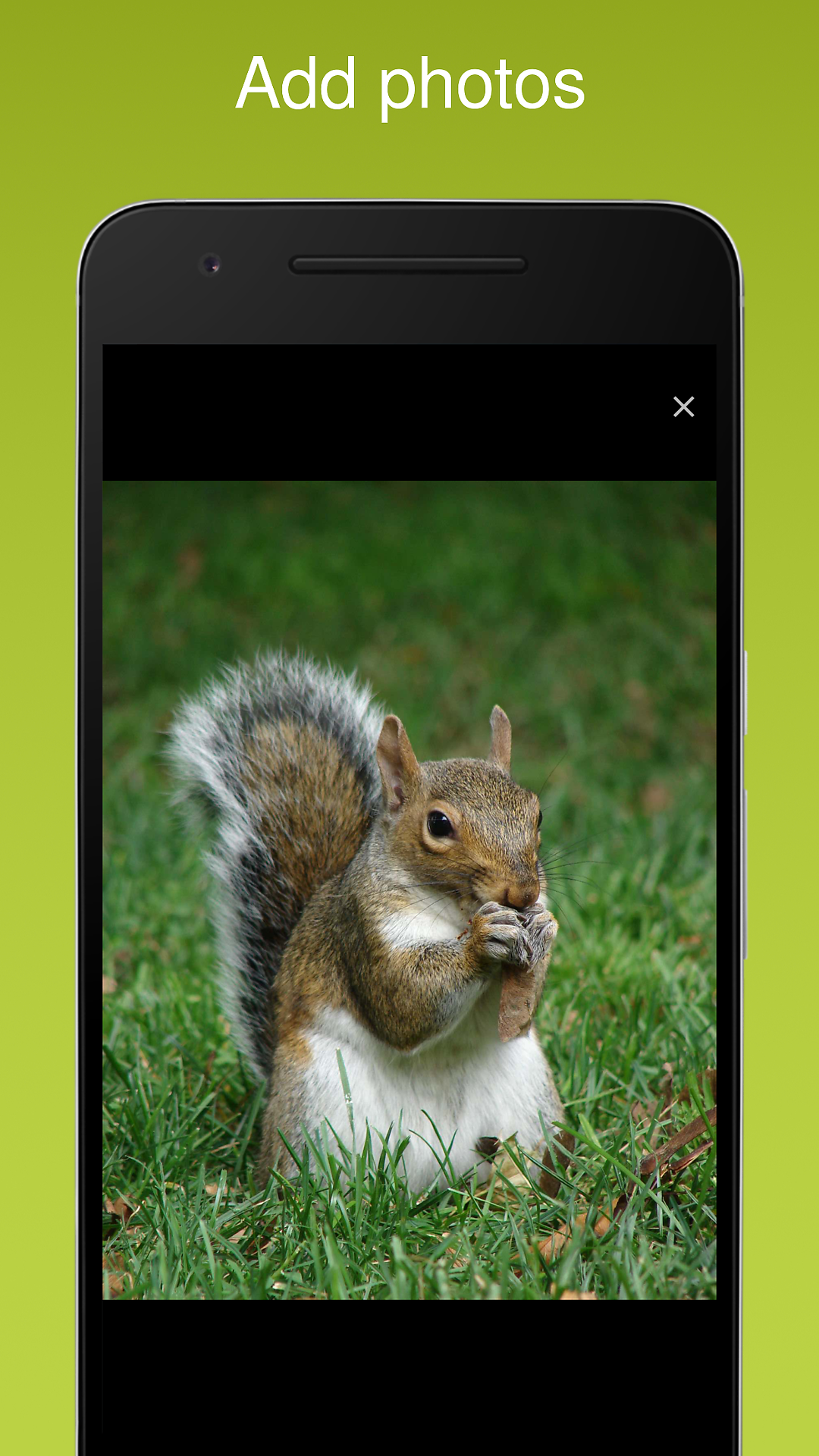 iRecord App - App on Amazon Appstore