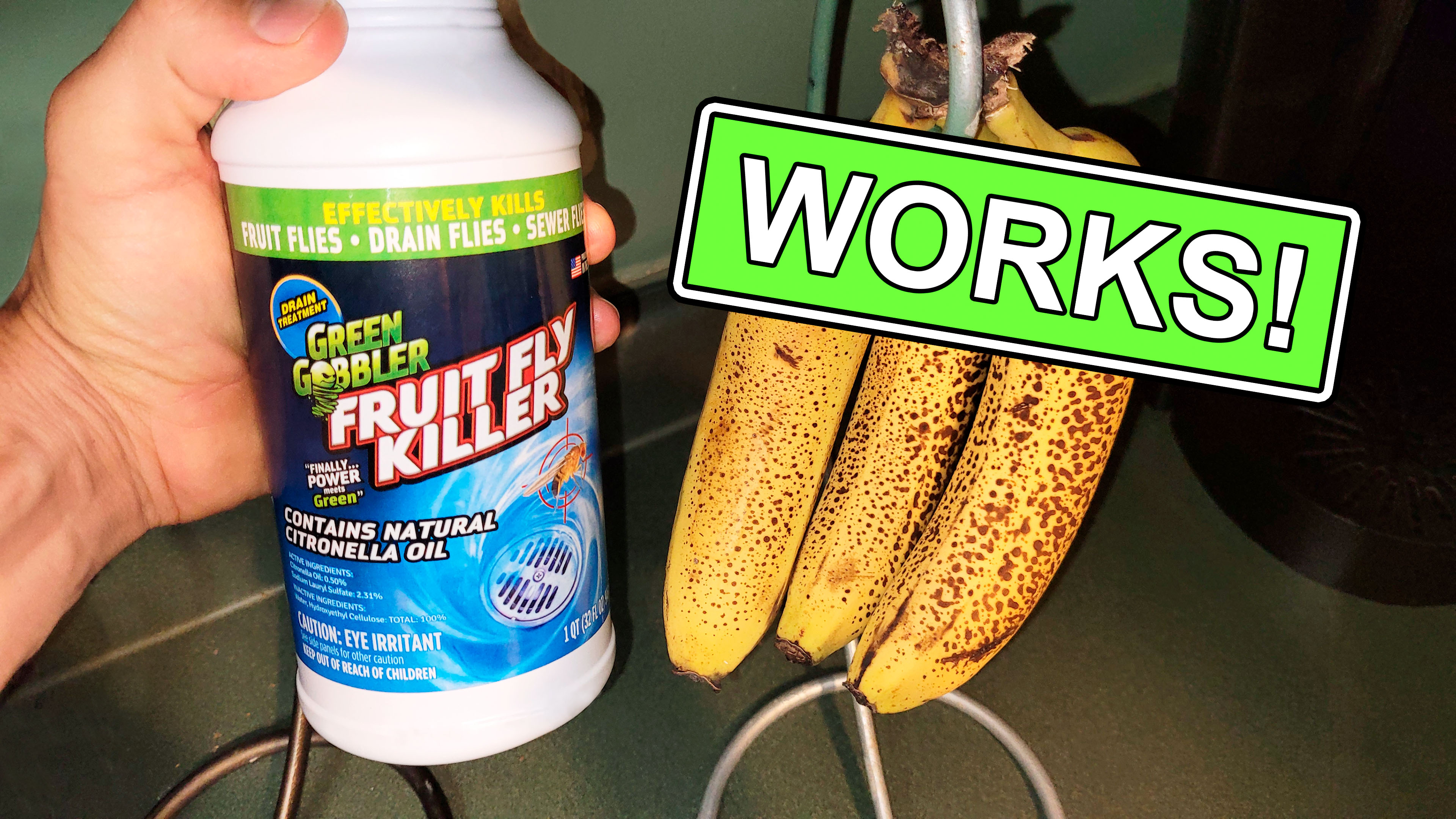 Watch Green Gobbler Fruit Fly Killer Drain Treatment on Amazon Live