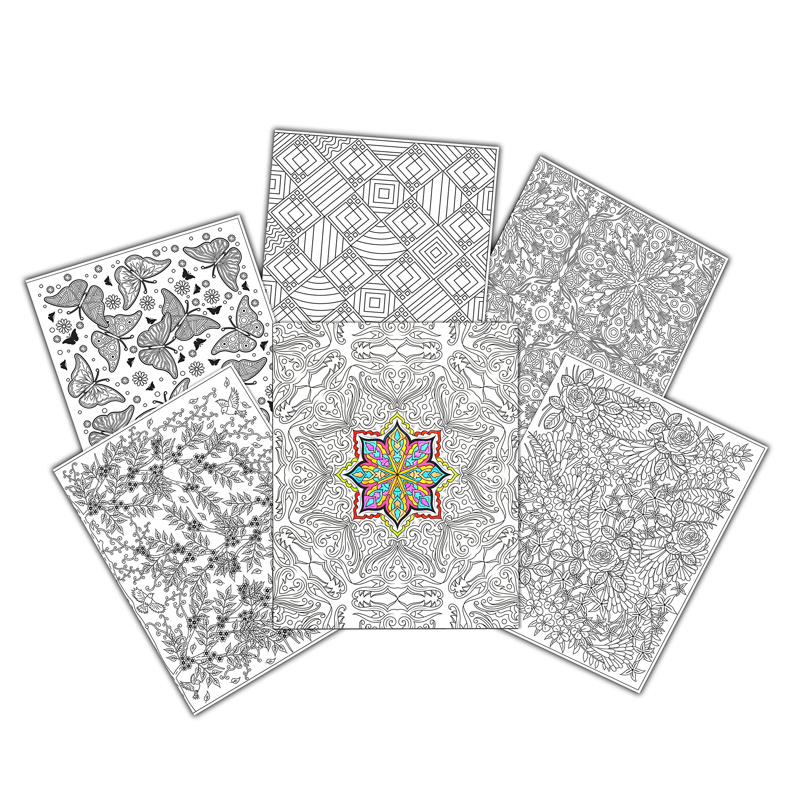 Amazon.com : C-Line UColor Two Pocket Coloring Folders, Set of 6 ...