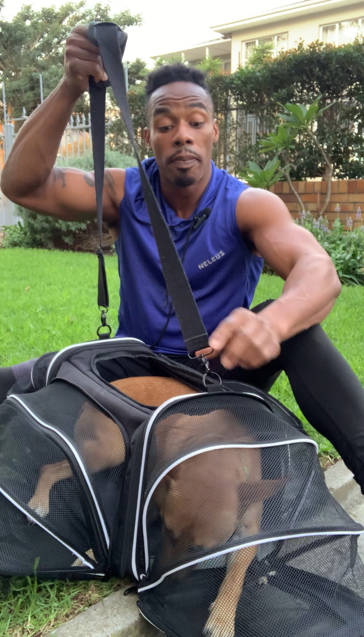 Watch Amazing TSA Approved Pet Carrier For Pet Family on Amazon Live