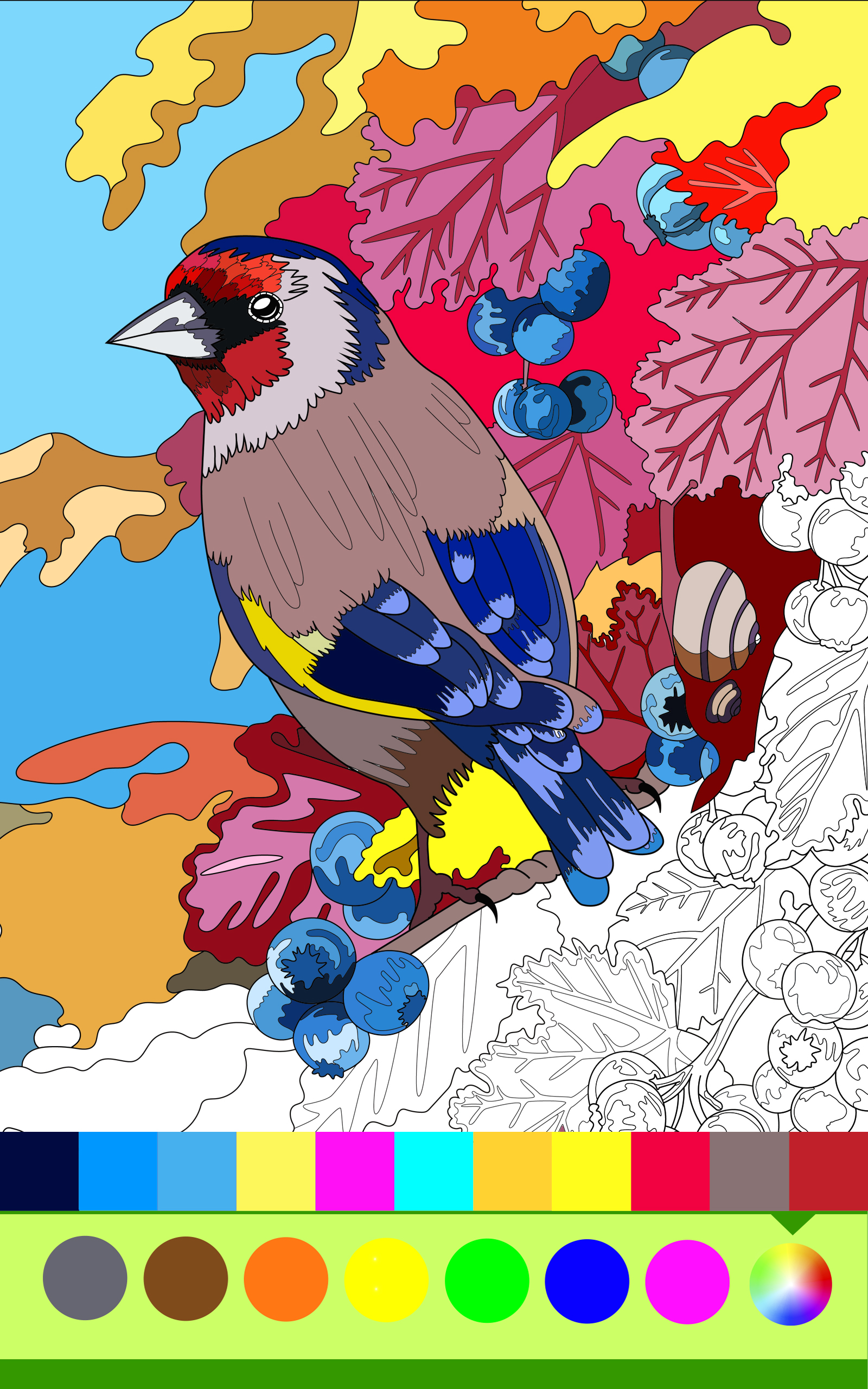 Birds Coloring Art Book - App on Amazon Appstore