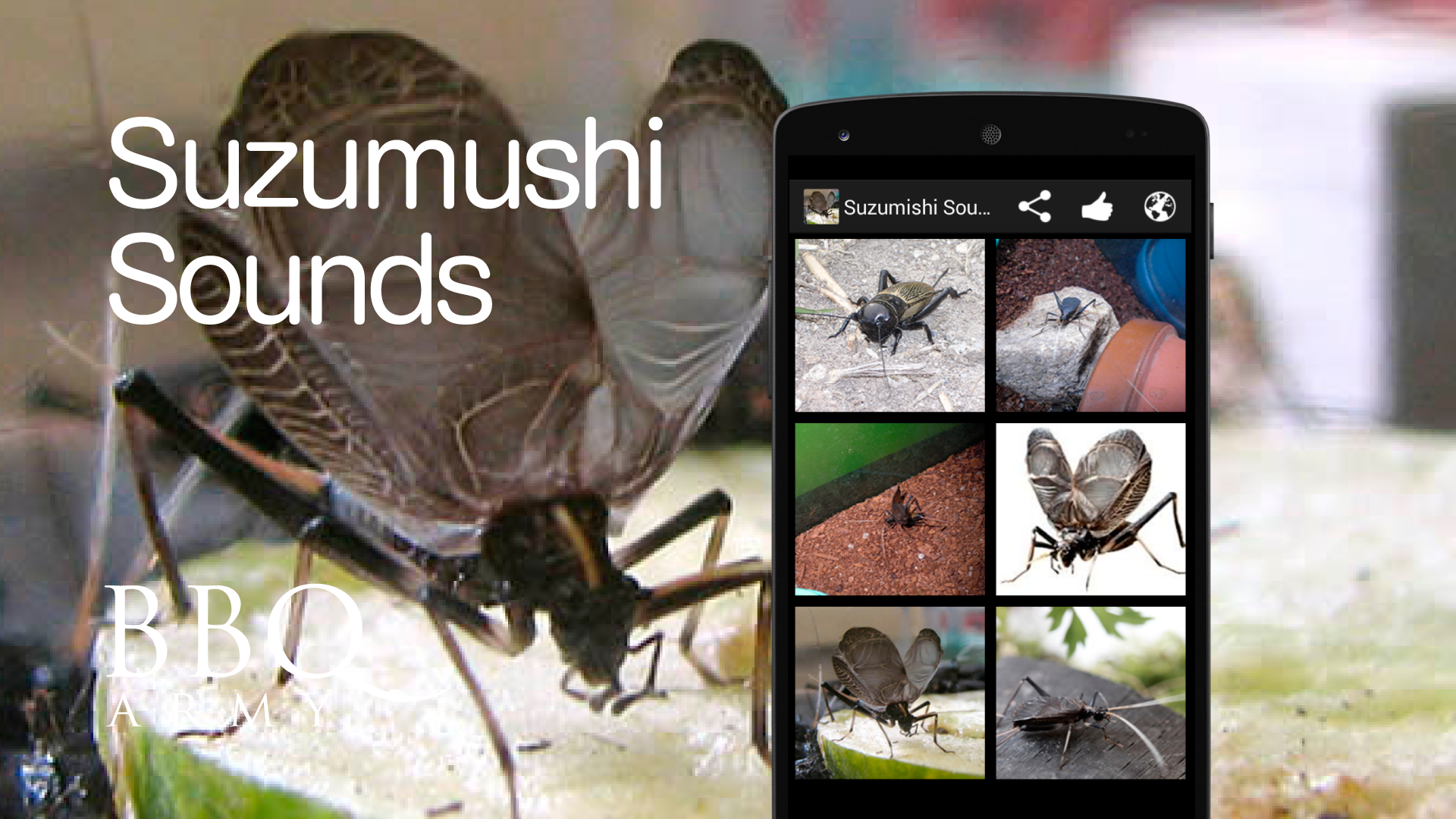 Suzumushi(bell cricket) Sounds - App on Amazon Appstore