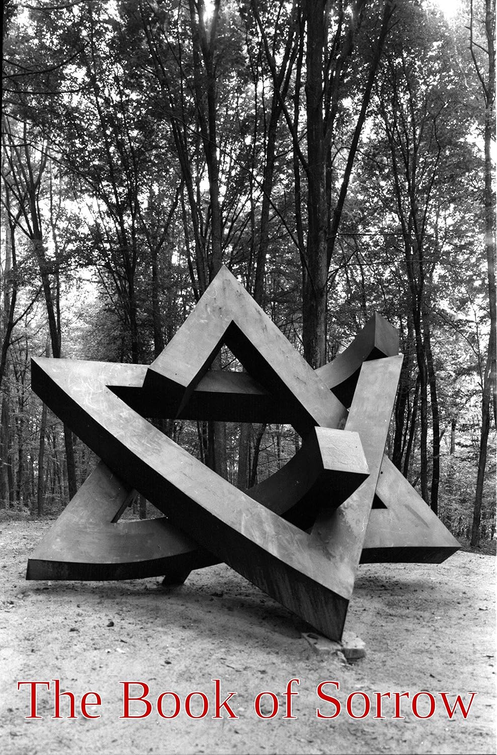 Amazon.com: The Book of Sorrow eBook : Levinson, Joseph: Kindle Store