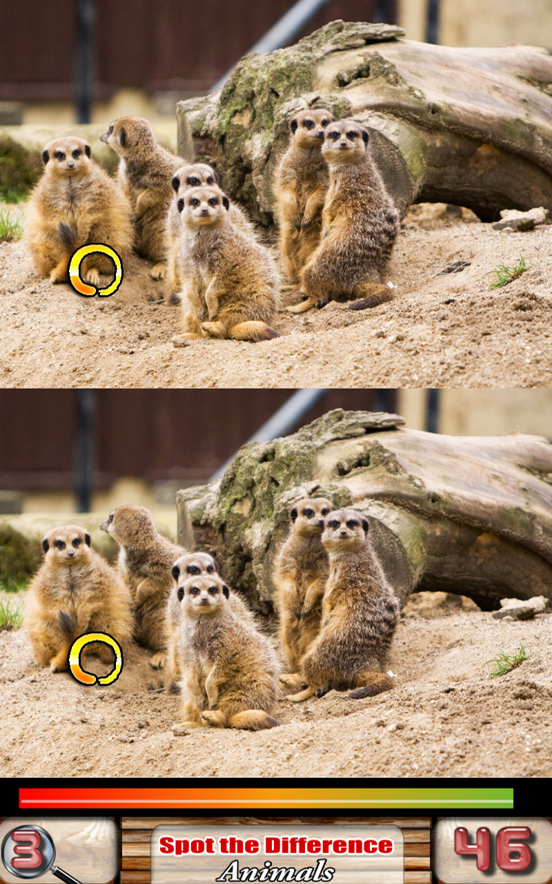 Spot the Difference Animals (AdFree) - App on the Amazon Appstore