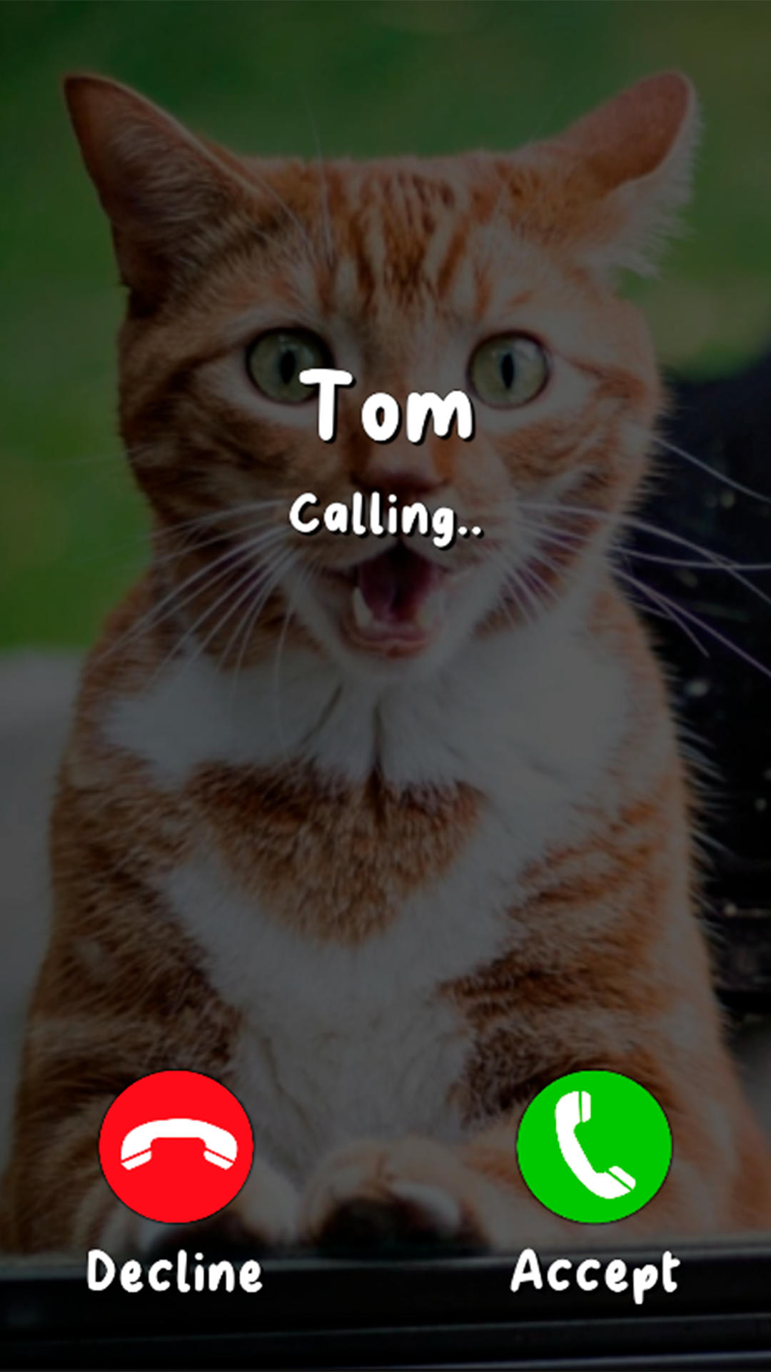 Cat Fake Video Call Prank - App on Amazon Appstore