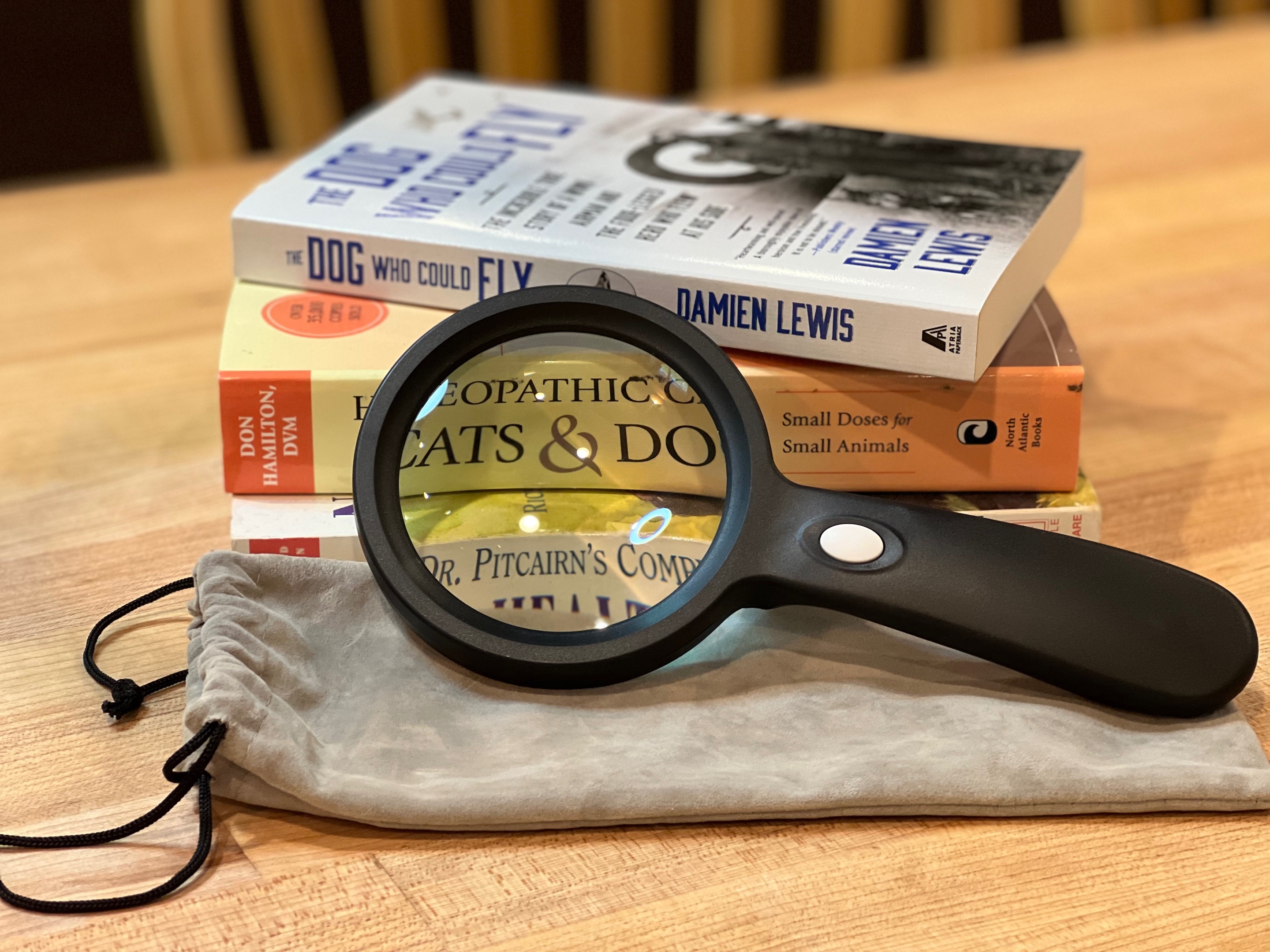 Watch Magnifying Glass - Let’s take a look! on Amazon Live