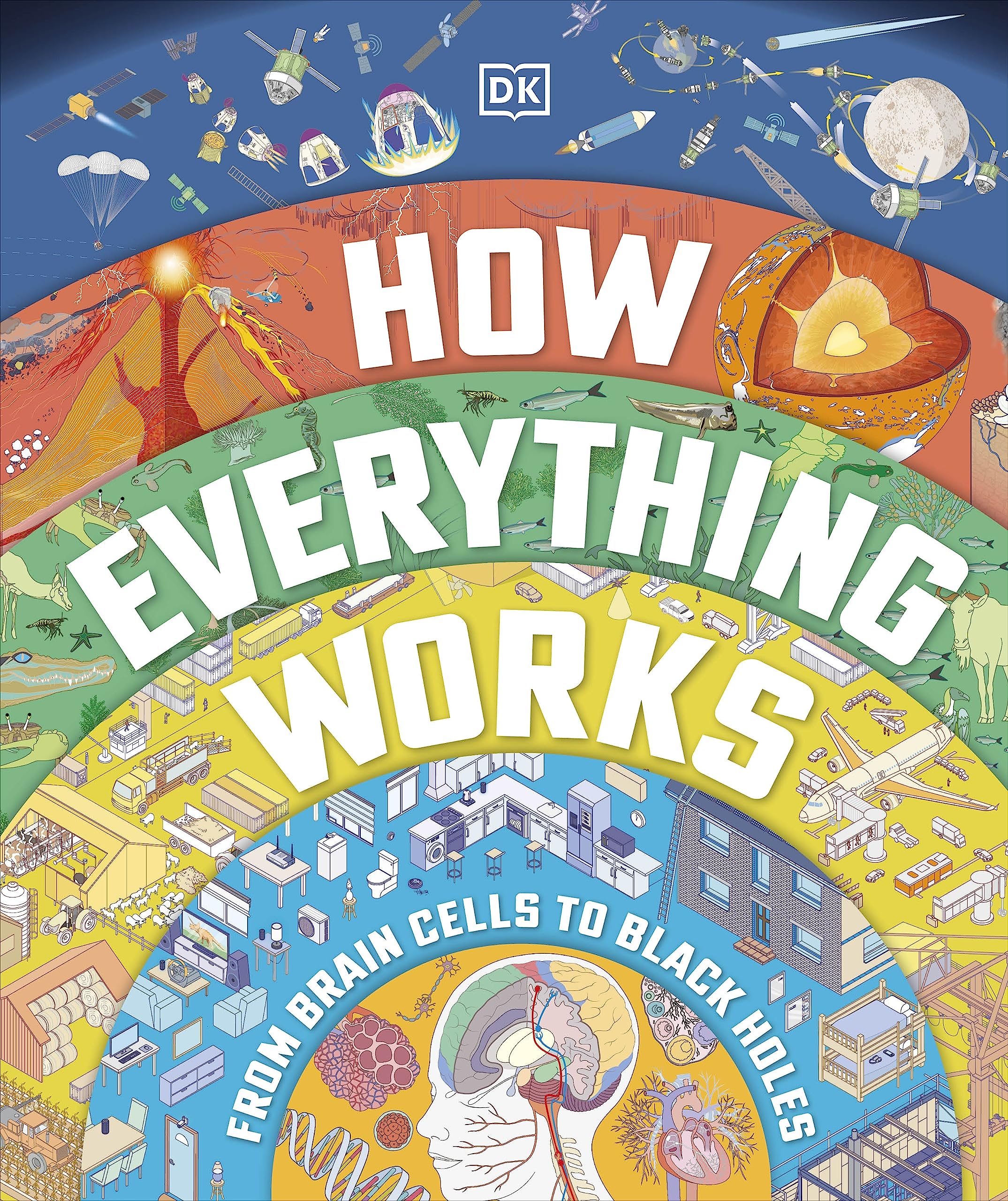 How Everything Works : DK: Amazon.in: Books