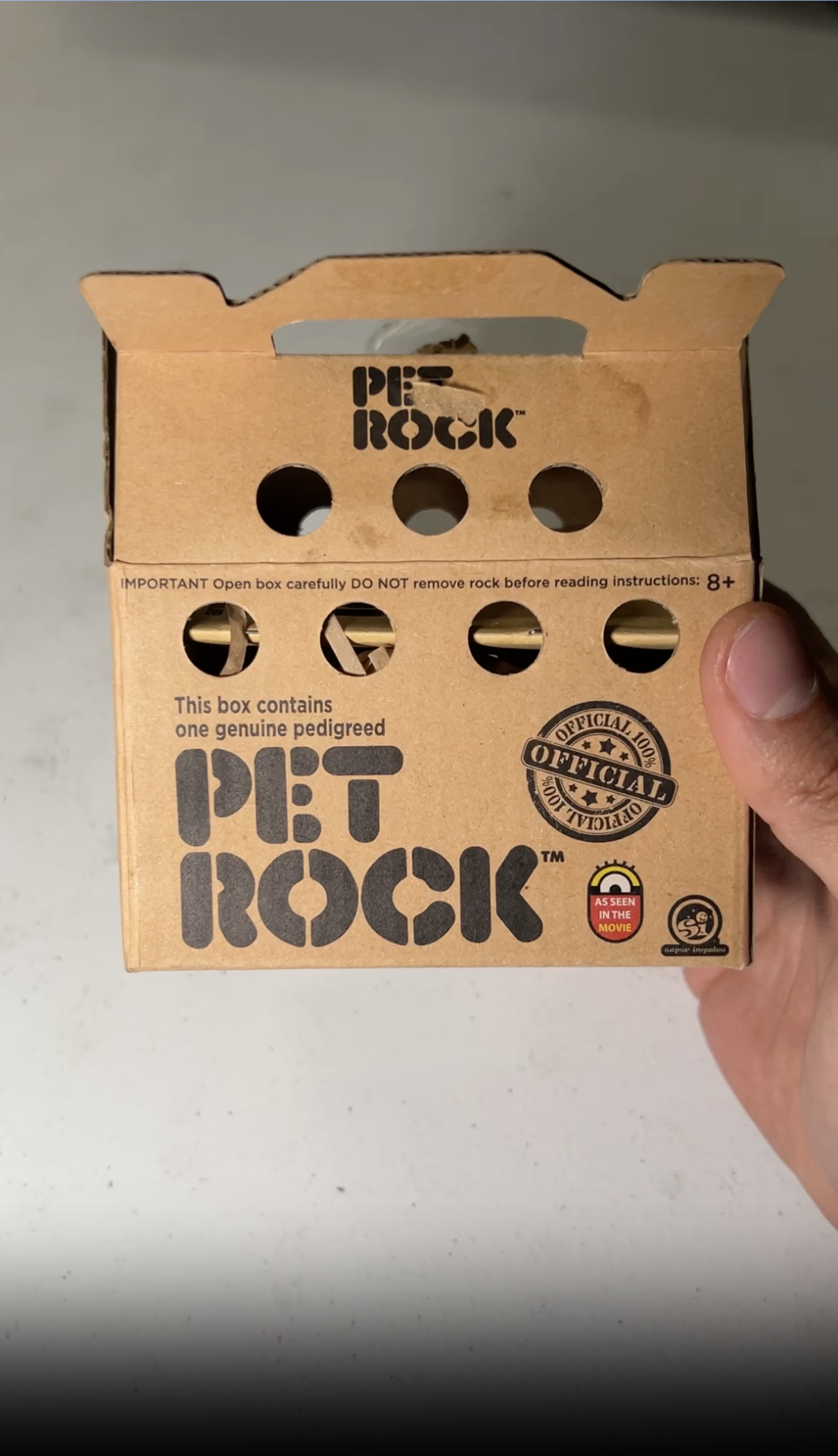 Watch Pet Rock The Original by Gary Dahl on Amazon Live