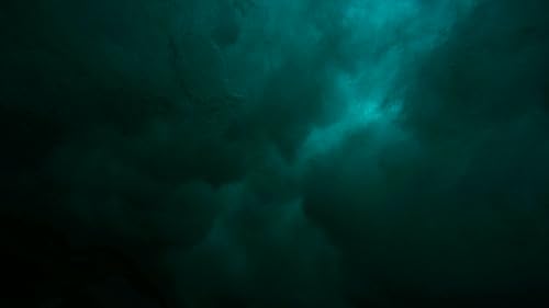 Truth+ - App on Amazon Appstore