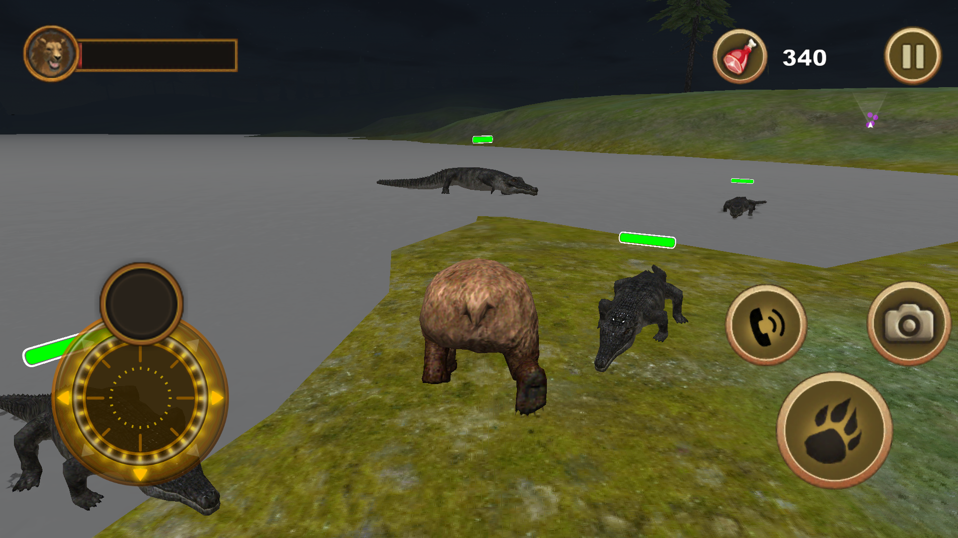 Bear Survival Simulator - App on Amazon Appstore