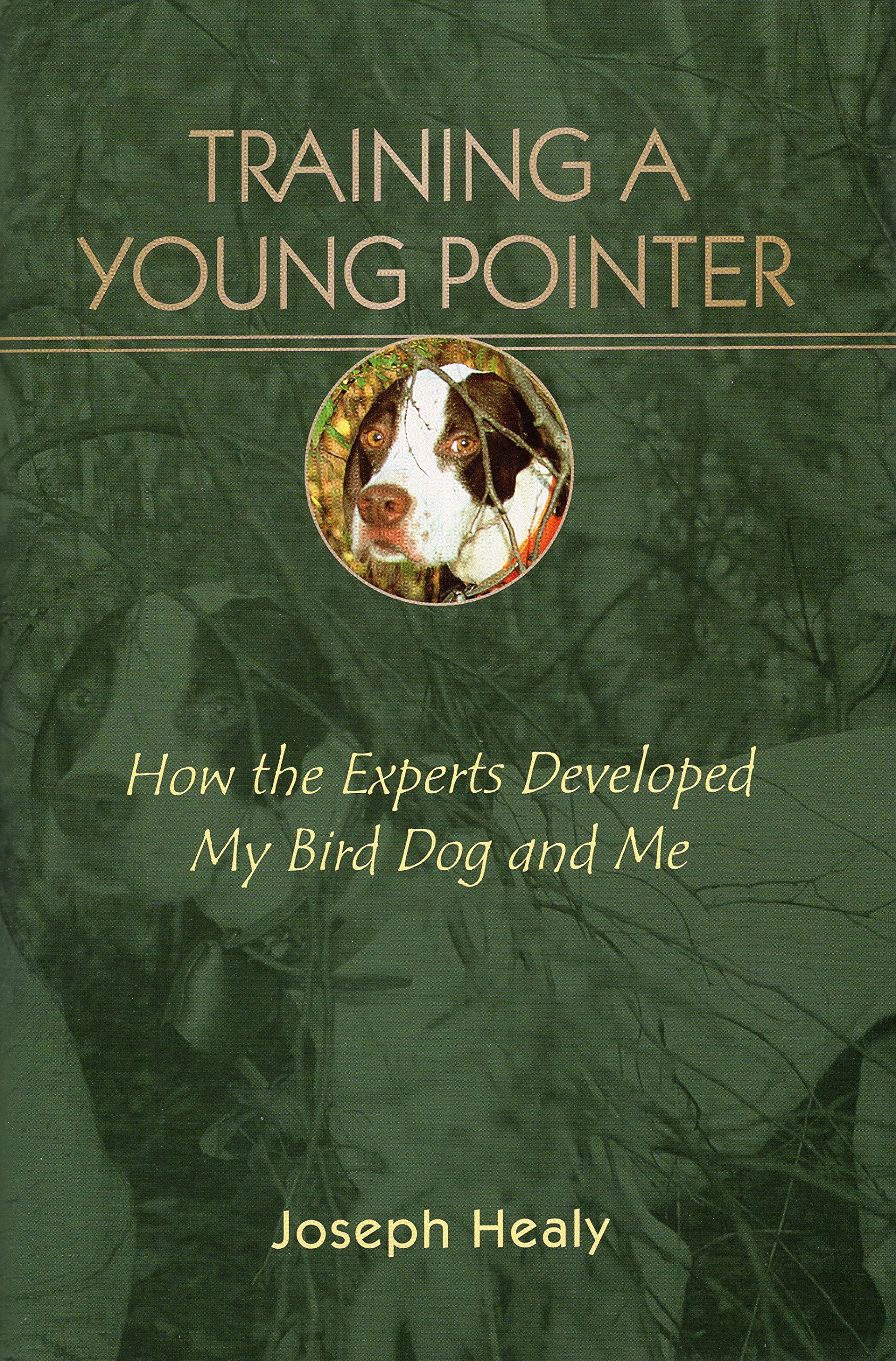 Training a Young Pointer: How the Experts Developed My Bird Dog and Me ...