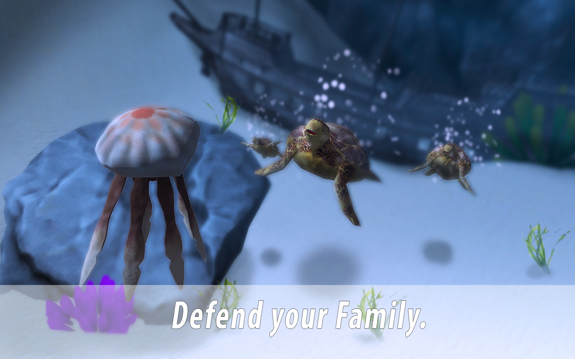 Turtle Family Simulator:Amazon.com:Appstore for Android