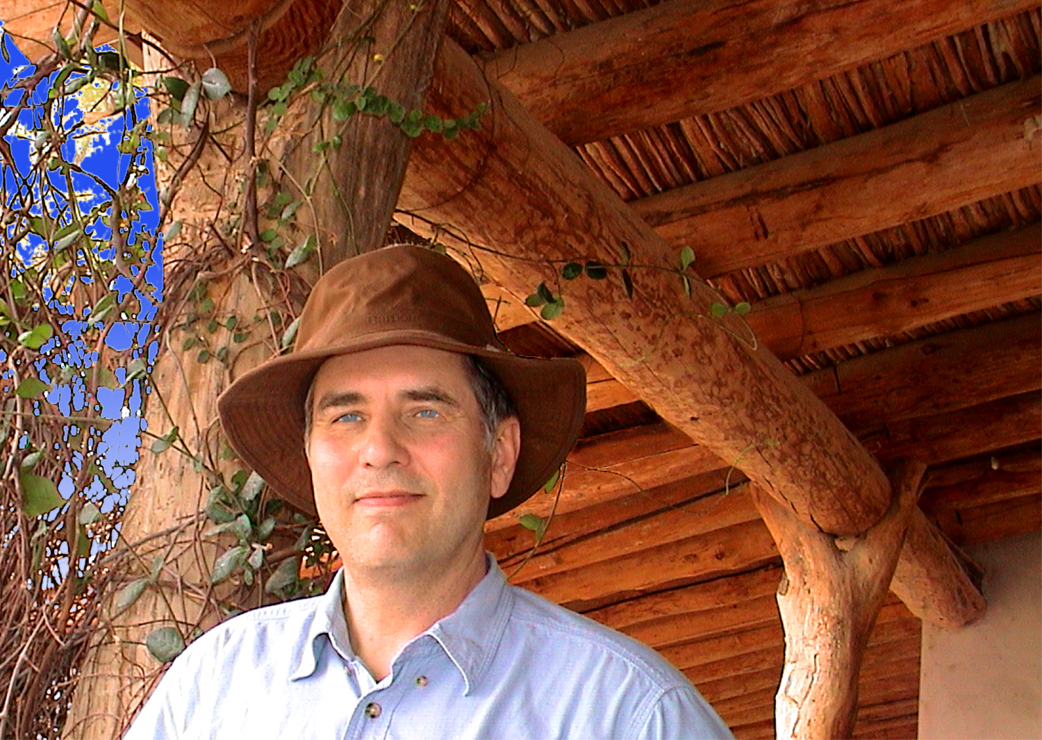 Save America's Windows: Caring for older and historic wood windows ...